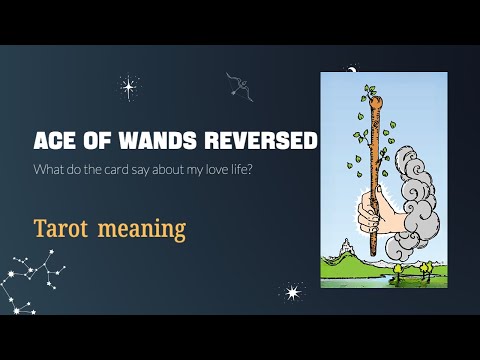 Ace of Wands reversed💡my love life?💡Tarot meaning