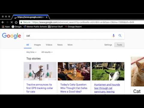 Google Advanced Image Search