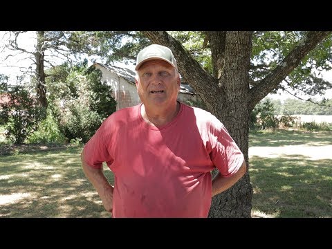One of my favorite farmers (that you've never heard of)