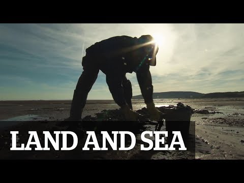 Land & Sea: Mudflats