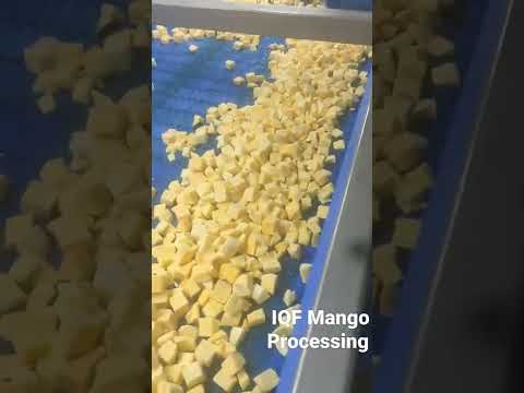INDIVIDUAL Quick Freezing (IQF) MANGO DICES