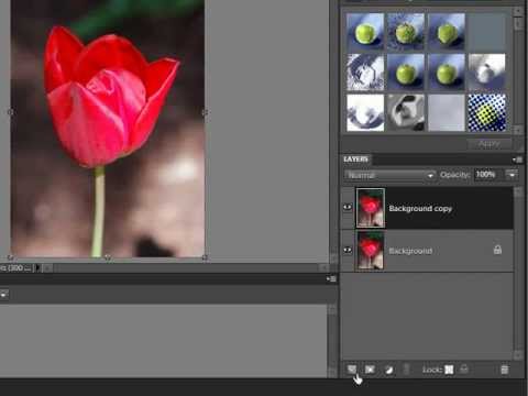 How to Remove a Background in Photoshop Elements