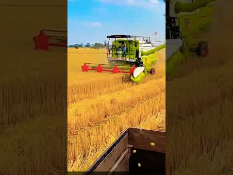 on top farming