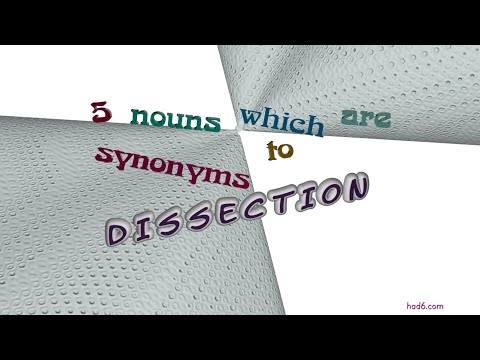 dissection - 5 nouns synonym of dissection (sentence examples)