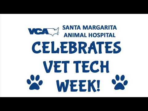Happy Vet Tech Appreciation Week!