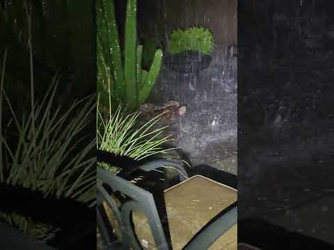hail mesa, AZ 3