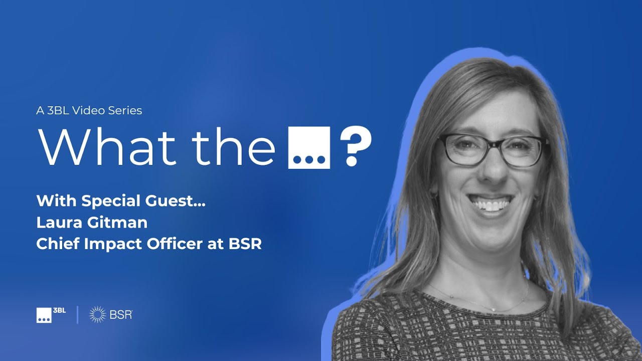 Should Companies Make Their Sustainability Goals Public? | Laura Gitman