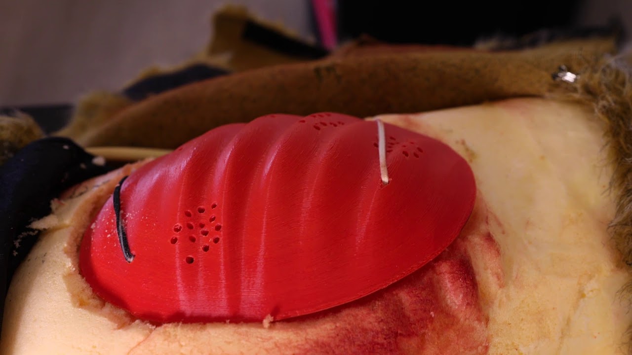 Veterinary Simulation Lab:  Robo Jerry