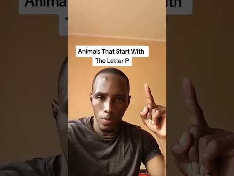 Animals That Start With The Letter P😌 #animals #interesting #viral #shorts #xyzbca