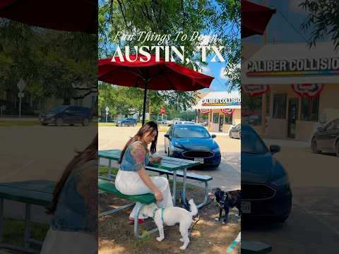 Austin, TX - Pet Friendly Road Trip 🐩