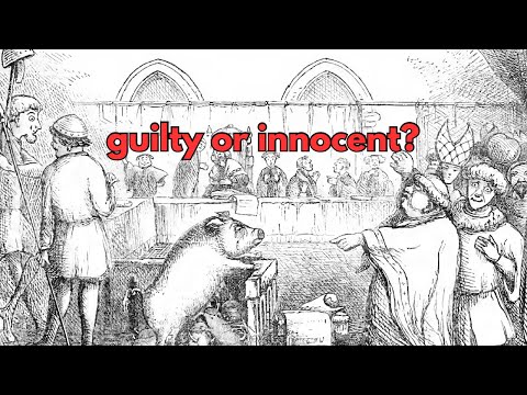 What Animal Trials Reveal About Us