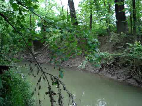 Reka Tamnava | Talas