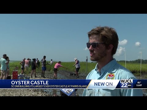 SC Department of Natural Resource volunteers and staff build 500-foot oyster reef on Parris Island