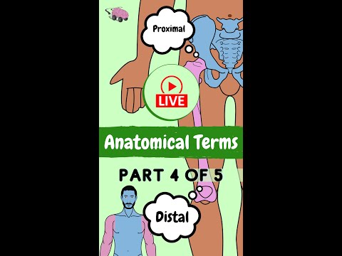 Proximal & Distal [Anatomical Terms & direction]