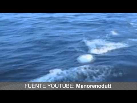 ¿Qué es un OSNI? | CIÉNCIATE