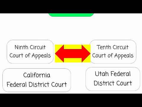 What is a Circuit Split