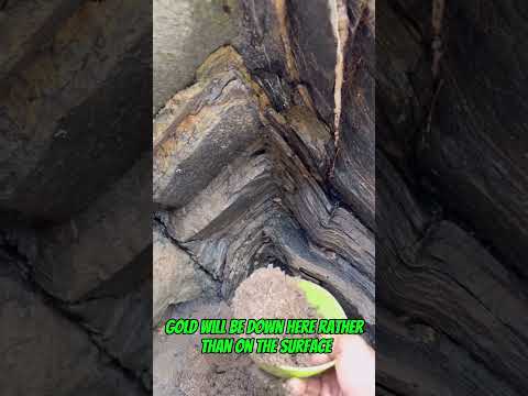 traditional #goldmining $800 worth of gold in just one spot? #goldrush #goldpanning #usa #alaska