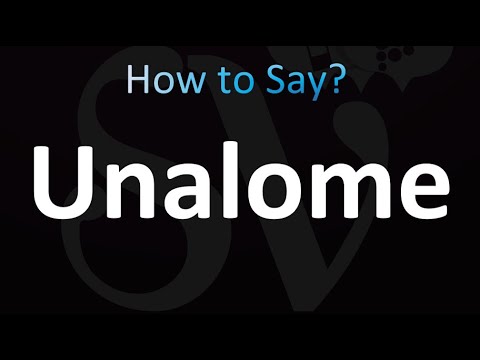 How to Pronounce Unalome (Correctly!)