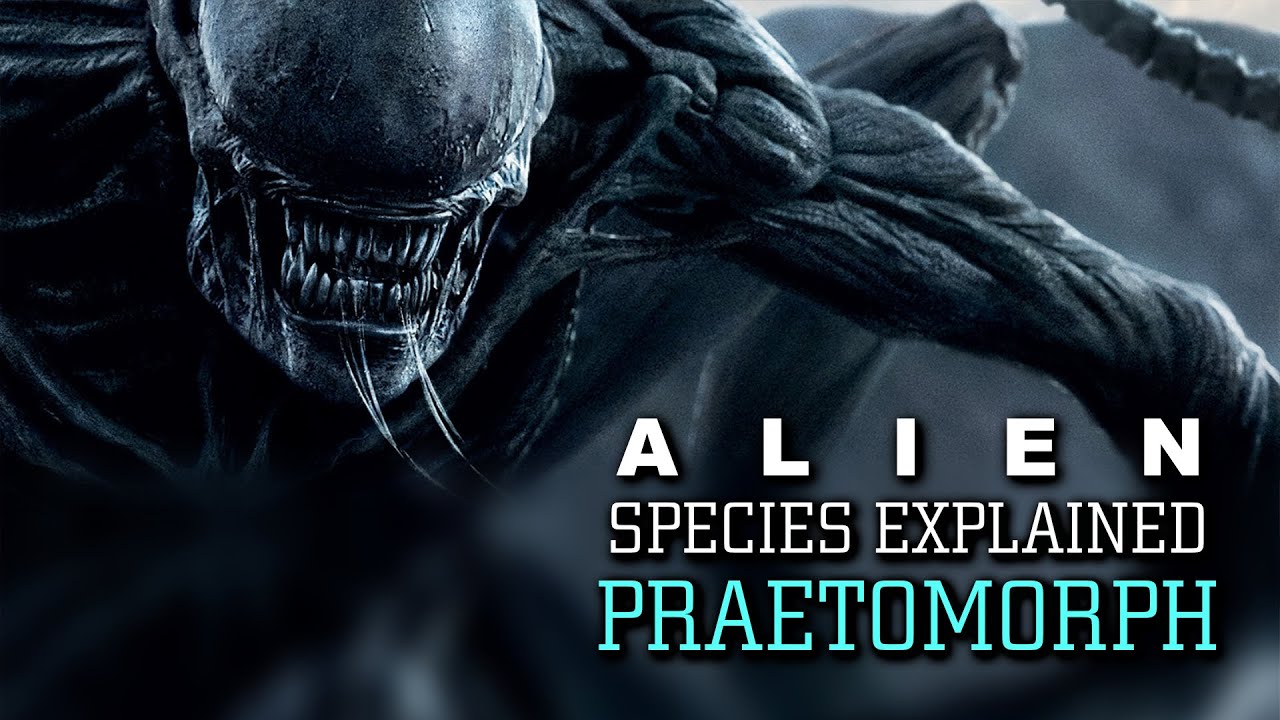 The Praetomorph - Alien Species Explained