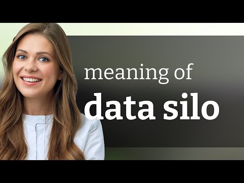 Understanding Data Silos: A Language Learner's Guide