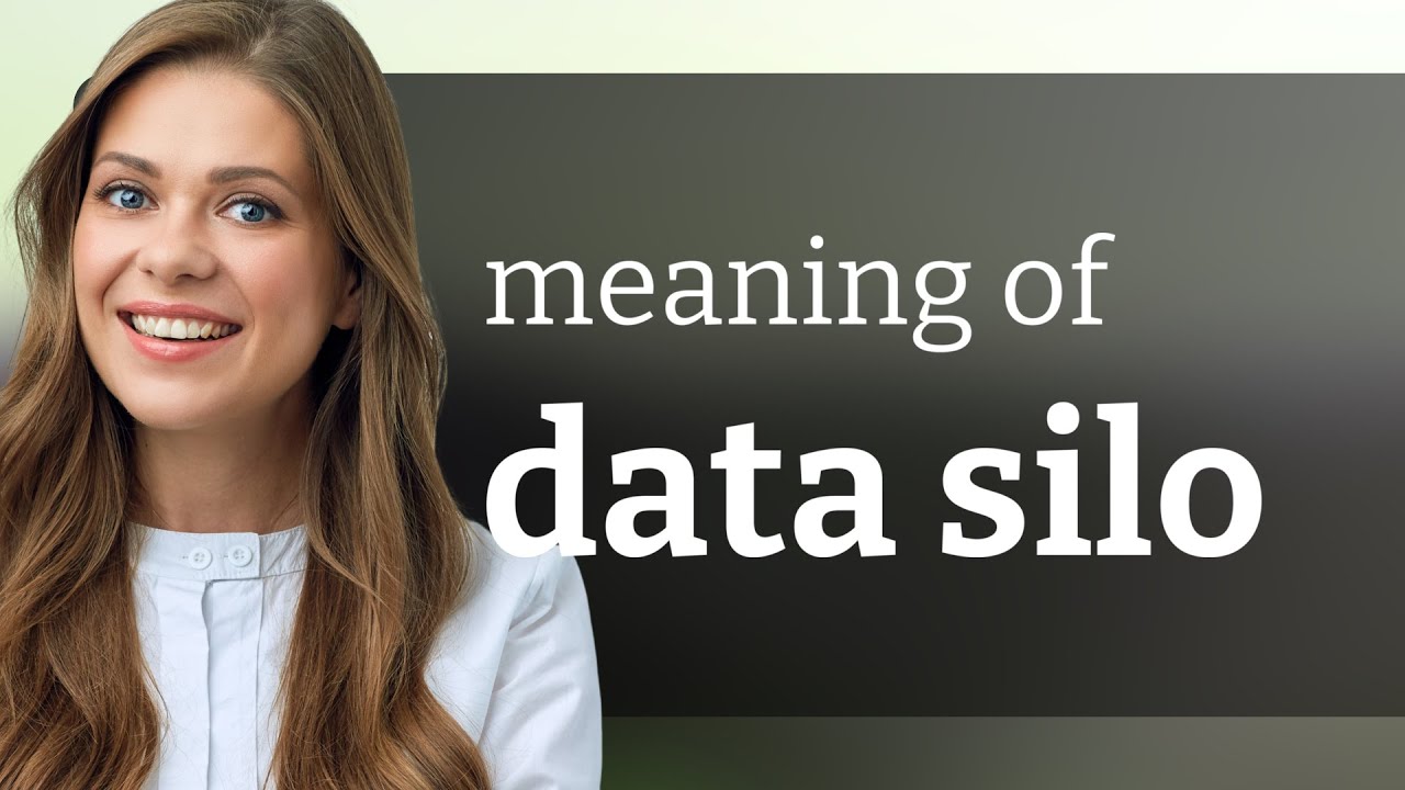 Understanding Data Silos: A Language Learner's Guide
