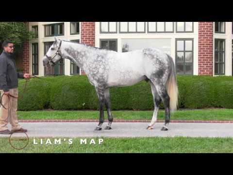 meet @ Burnham Square (USA) | The Thoroughbred Link