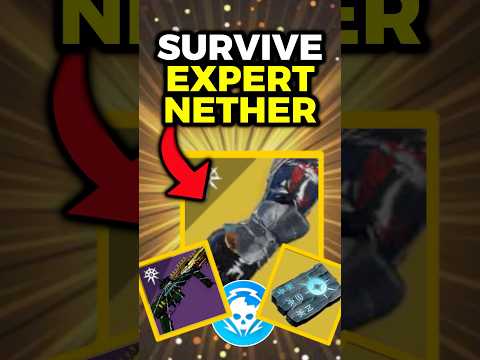 This Warlock Build SURVIVES Expert Nether