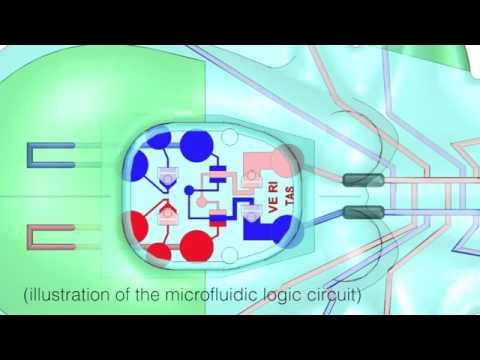 The first autonomous, entirely soft robot – Harvard Gazette