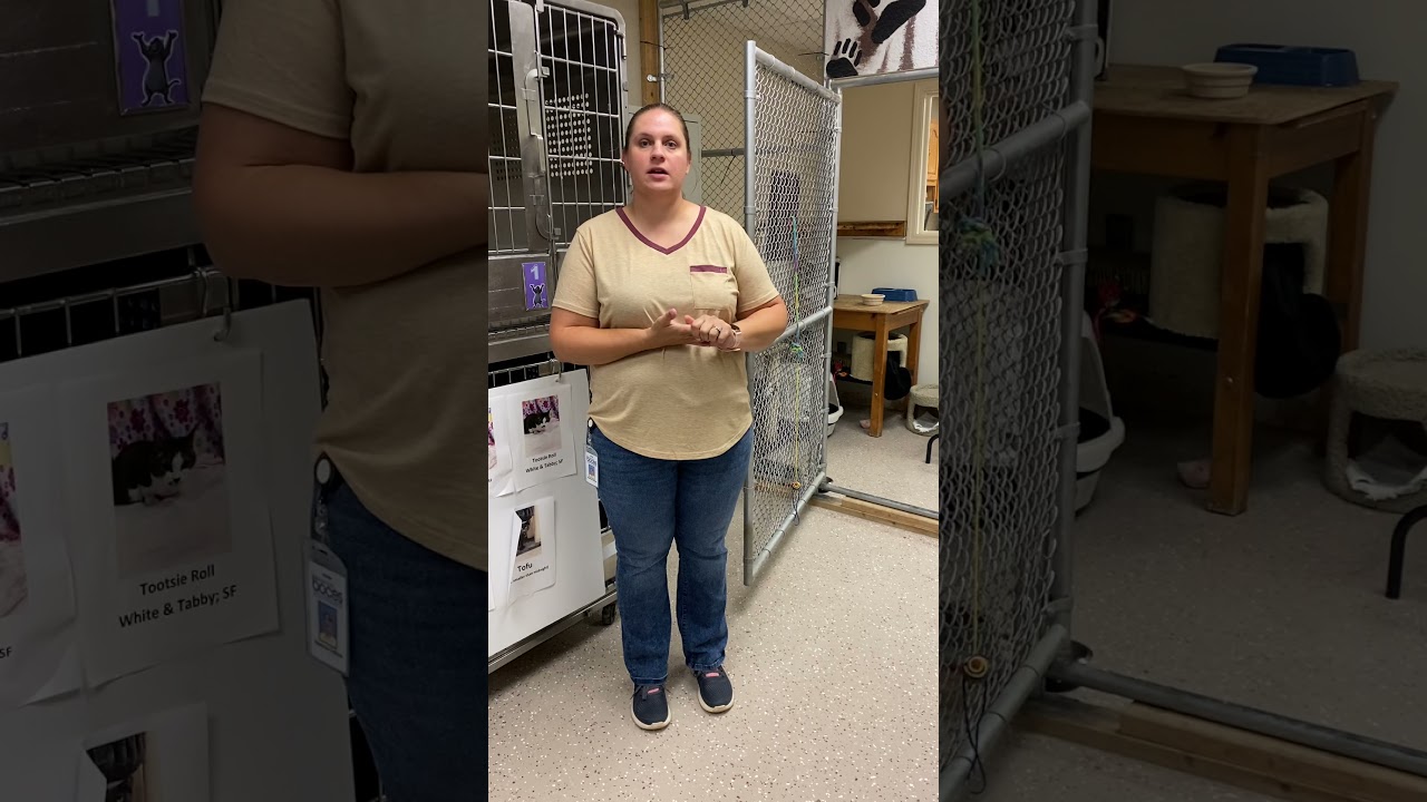 BT BOCES Cat Safe Handling