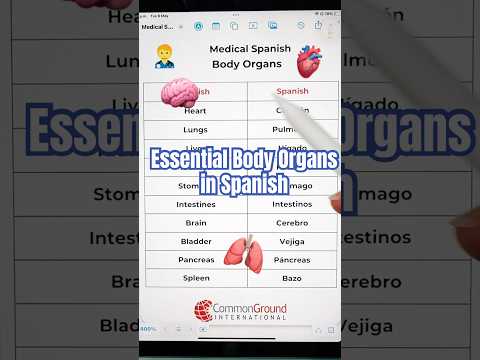 Essential Body Organs in Spanish: Medical Spanish Terminology for Healthcare Professionals