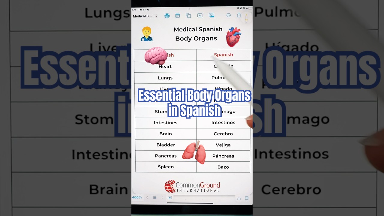 Essential Body Organs in Spanish: Medical Spanish Terminology for Healthcare Professionals