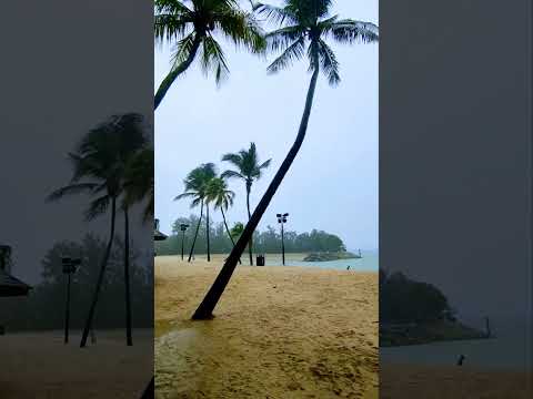 Sentosa Island by Monorail
