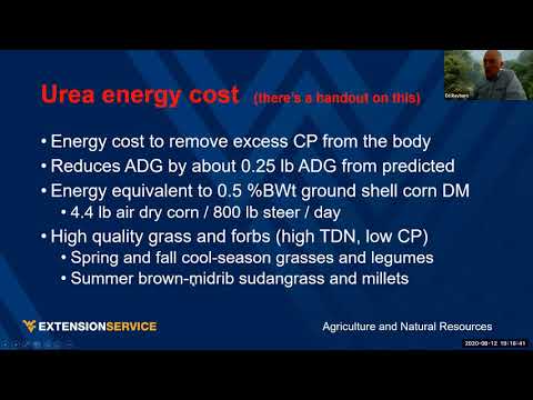 Animal Selection Feeding Management By Ed Rayburn