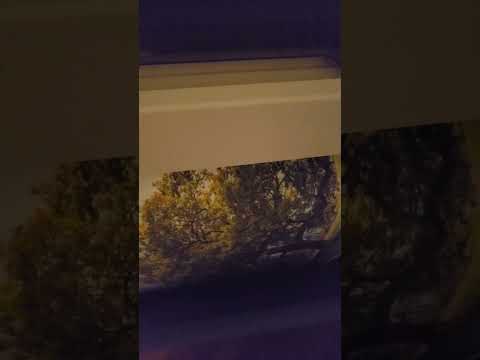 Epson SC T5200 Test Print