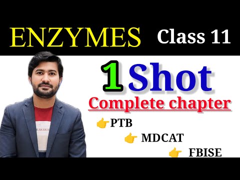 Enzymes complete chapter in 1 shot | Biology class 11 chapter 3