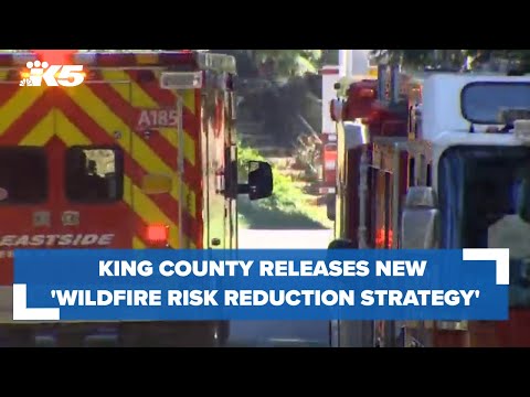 King County releases new 'Wildfire Risk Reduction Strategy'