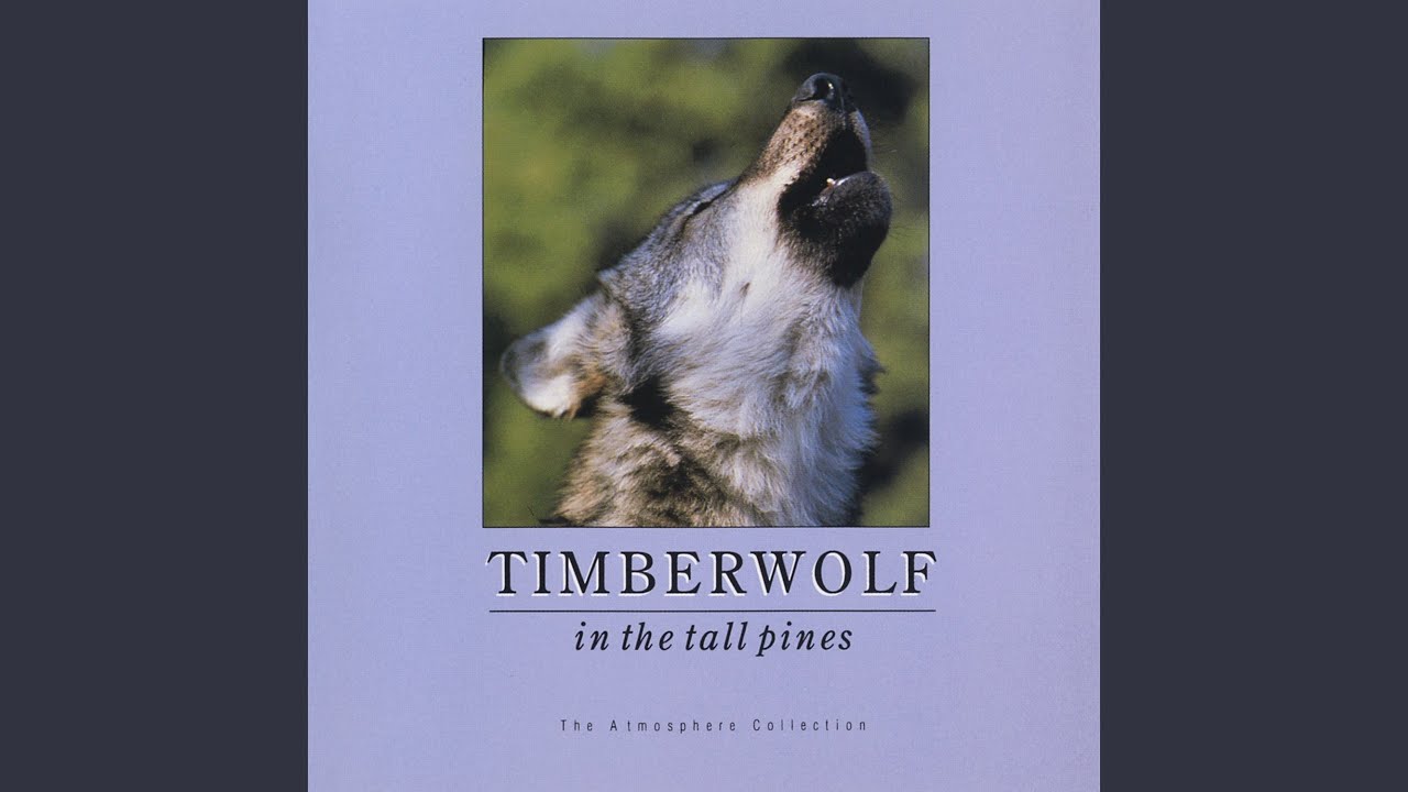 Timberwolf Environment