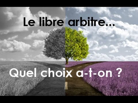 Le libre arbitre… A-t-on vraiment le choix ? (1/2) | Theonoptie