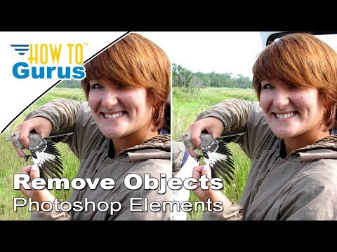 How You Can Remove Background Objects with Photoshop Elements
