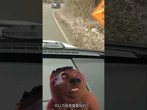 English translation of Chinese Beaver