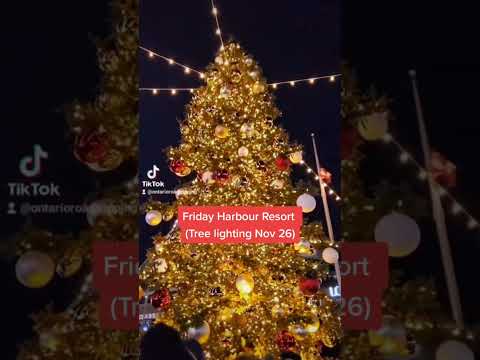 TORONTO TOP 6 UPCOMING HOLIDAY EVENTS! Save this! #holidays #toronto #ontario #holidayevents