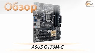 ASUS Q170M-C купити в інтернет-магазині: ціни на материнська плата Q170M-C - відгуки та огляди ...