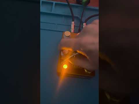 Berserker Fuzz Factory - USSR Germanium - Smart Relay - Gold | Reverb