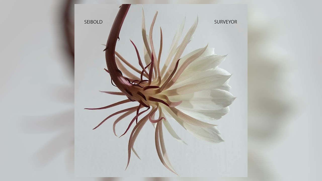 Seibold - 