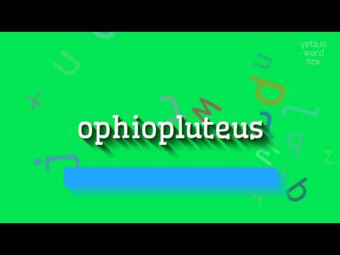 OPHIOPLUTEUS - HOW TO PRONOUNCE OPHIOPLUTEUS? #ophiopluteus