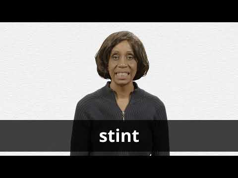 STINT - Definition & Translations | Collins English Dictionary