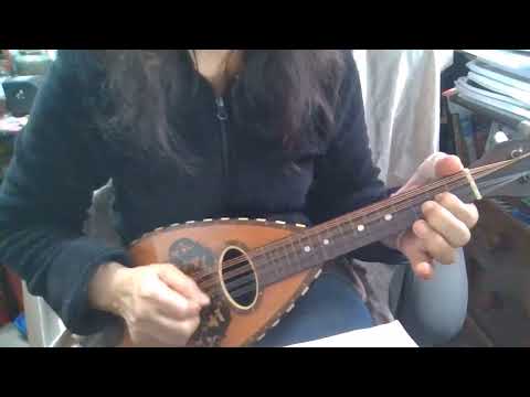 BEAUTIFUL VINTAGE 12 STRING BOWLBACK MANDOLIN**SEE VDO" | Reverb