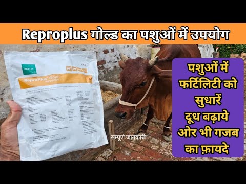 Mineral Mixture - Mineral Mixture Powder Latest Price, Manufacturers ...