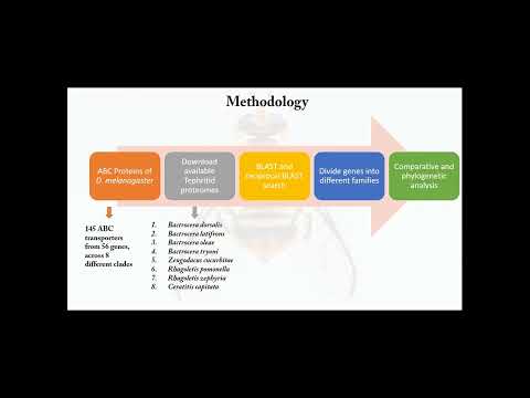 ATP-binding Cassette (ABC) Transporters in Tephritid... - Shofiul Alam - SCS - Abstract - ISMB 2022