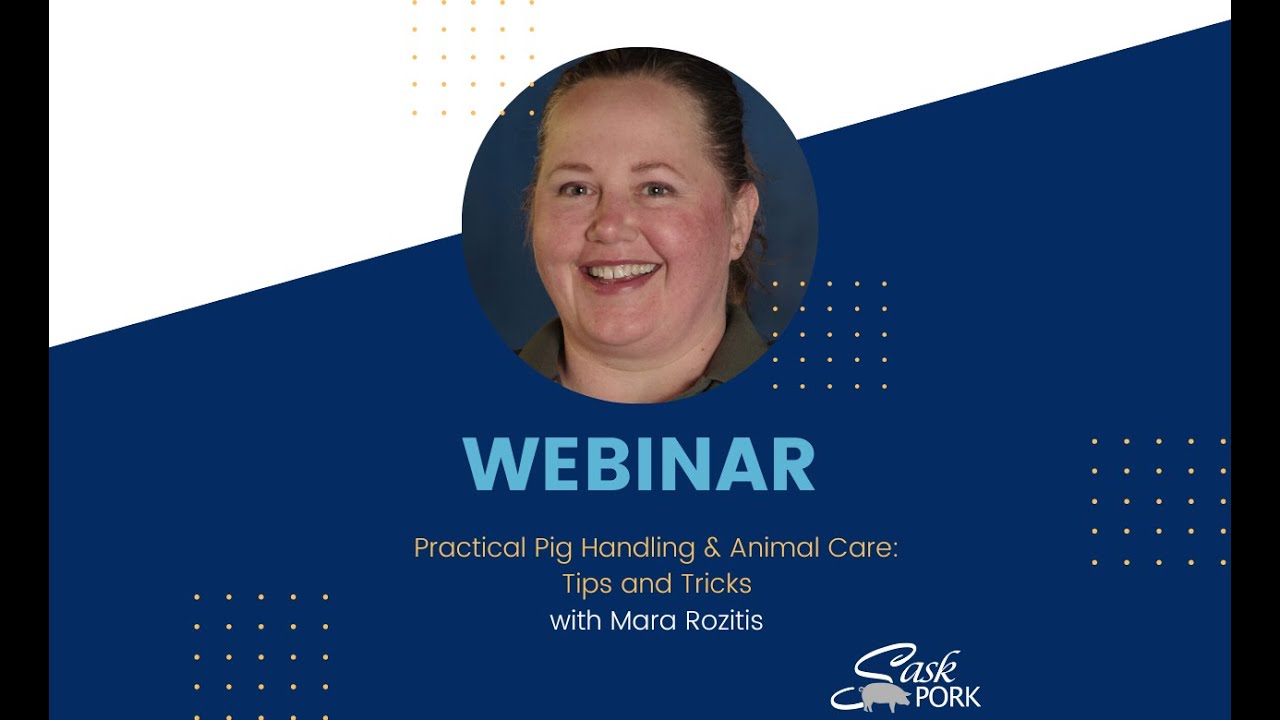 Sask Pork spring seminar series: Practical Pig Handling & Animal Care: Tips & Tricks